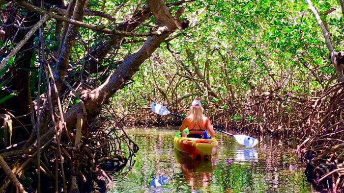 Key West Kayak Rental | Lazy Dog Adventures